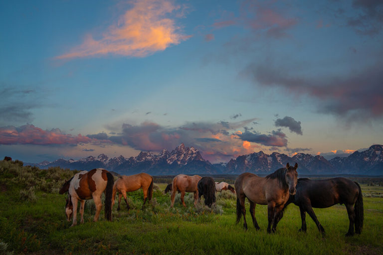 Fabulous Fall Getaway Vacations