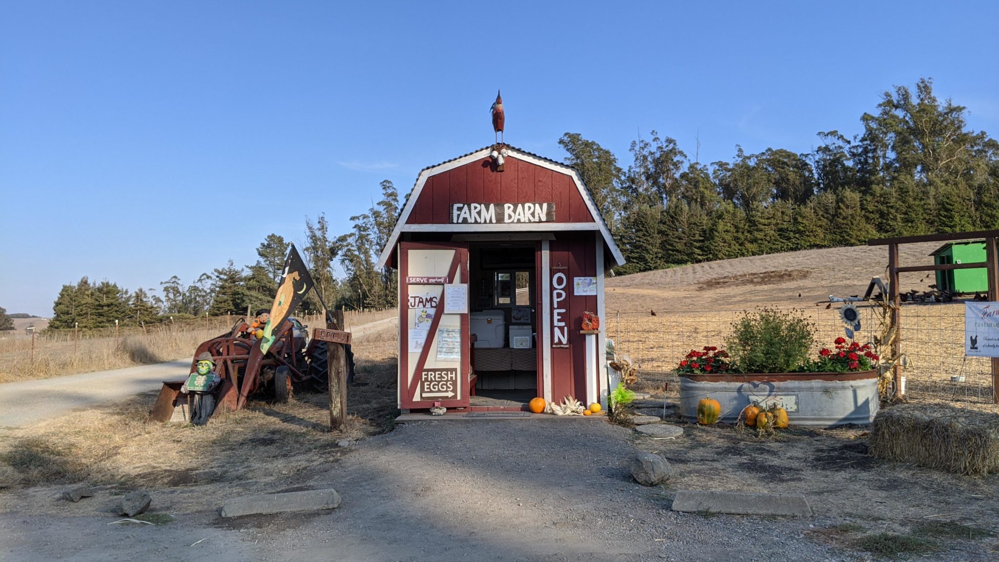 8 Easy Little California Road Trips From the Bay Area - My Family Travels