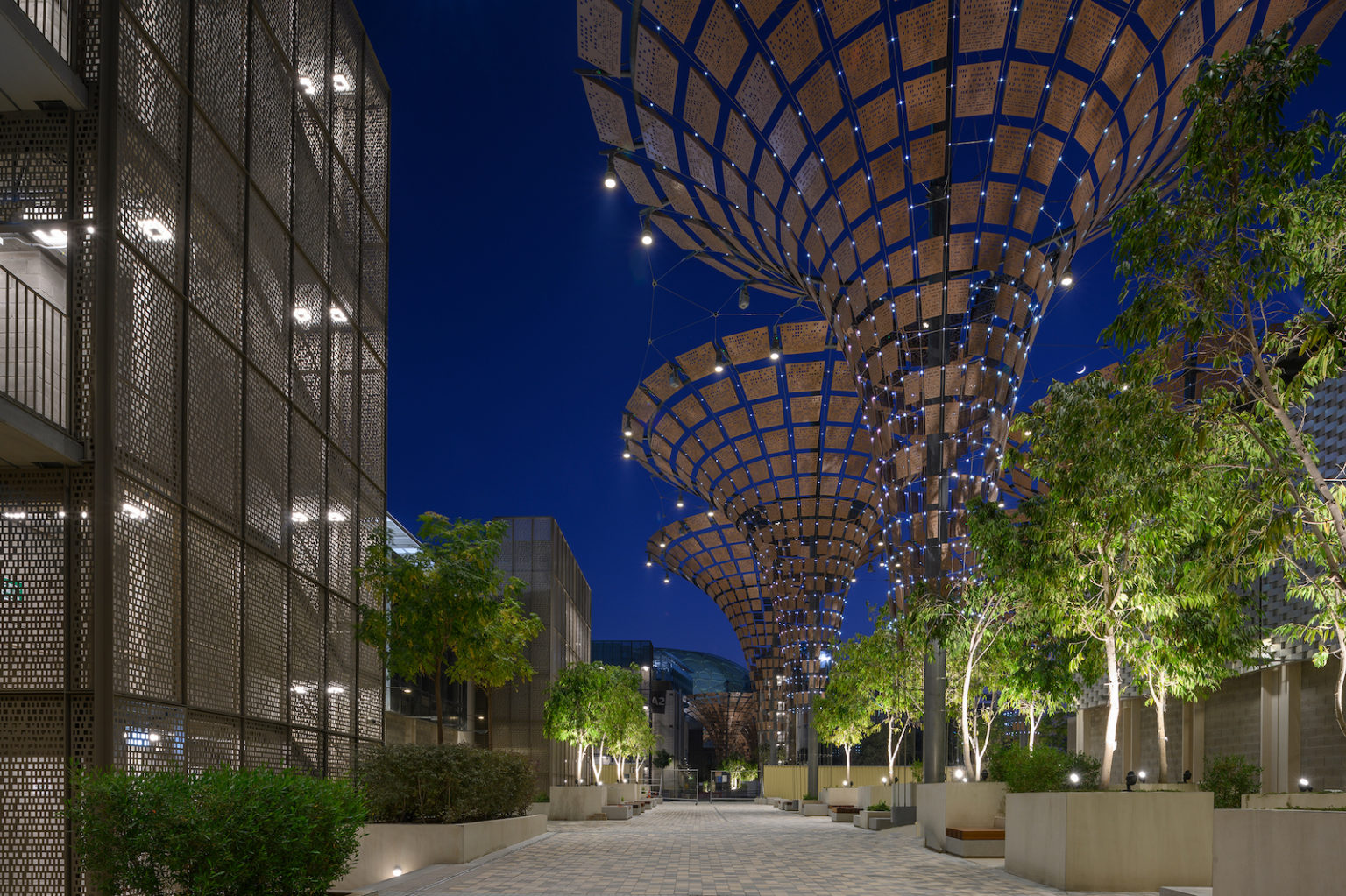 Dubai World Expo Is A Dazzling World's Fair - My Family Travels