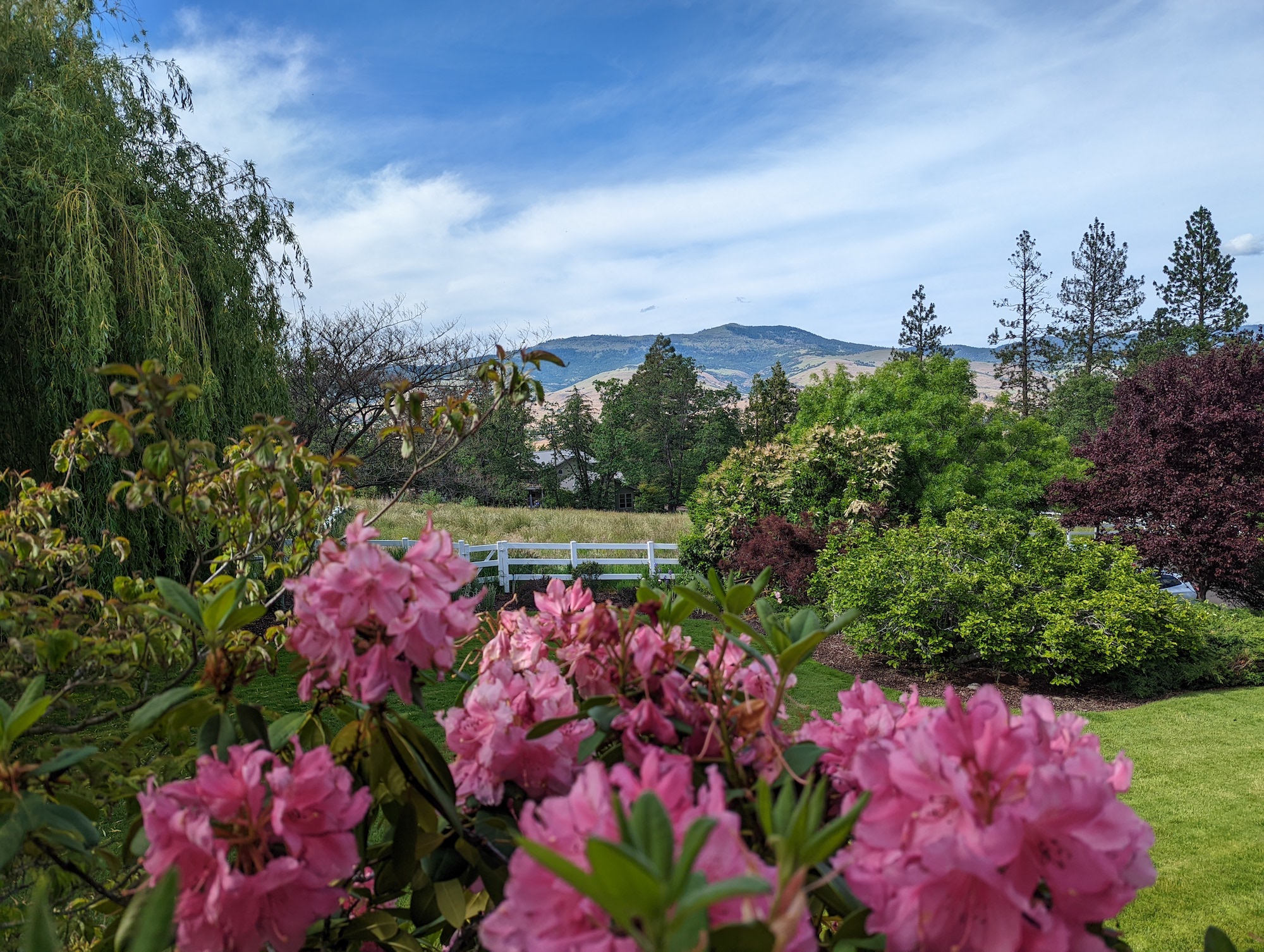 Grandparents’ Guide To Ashland, Oregon With Kids - My Family Travels