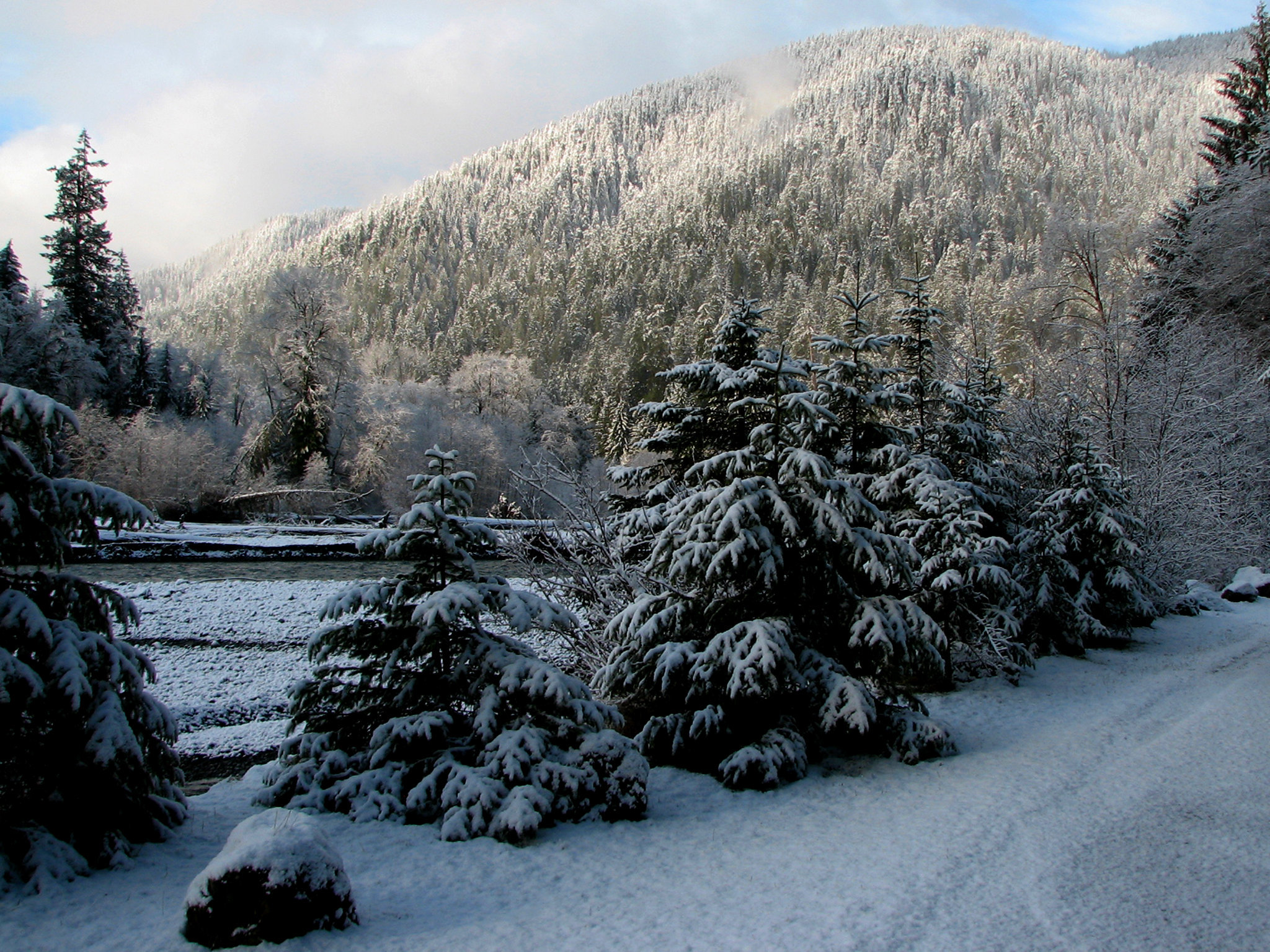 The Ultimate Twilight Hotel Experience in Forks, Washington - My Family ...