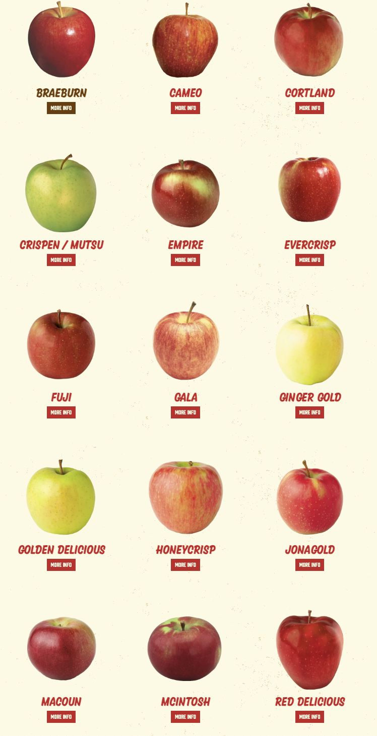 Best U Pick Apple Farms in and around Boston, Massachusetts