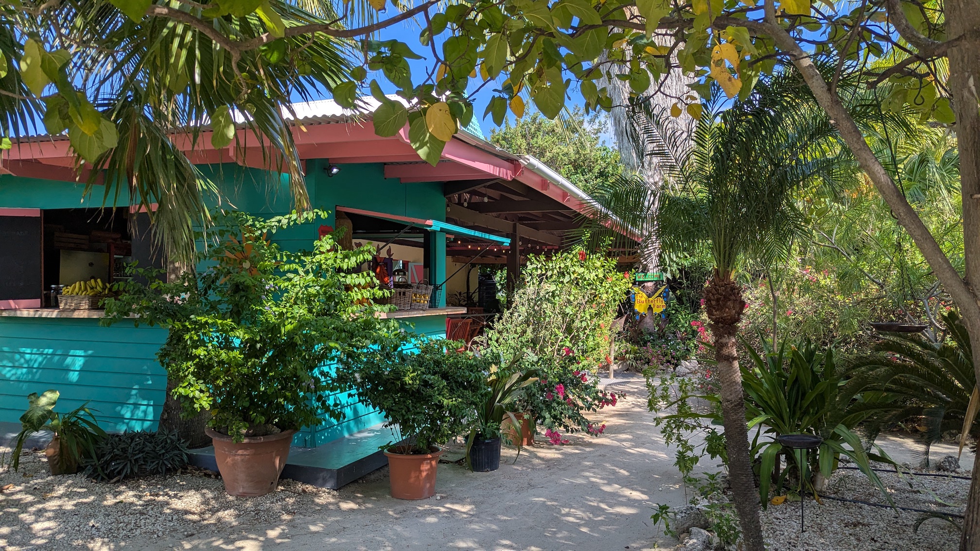 Traveling to Aruba Checklist - The Best Vacation Ever! - My Family Travels