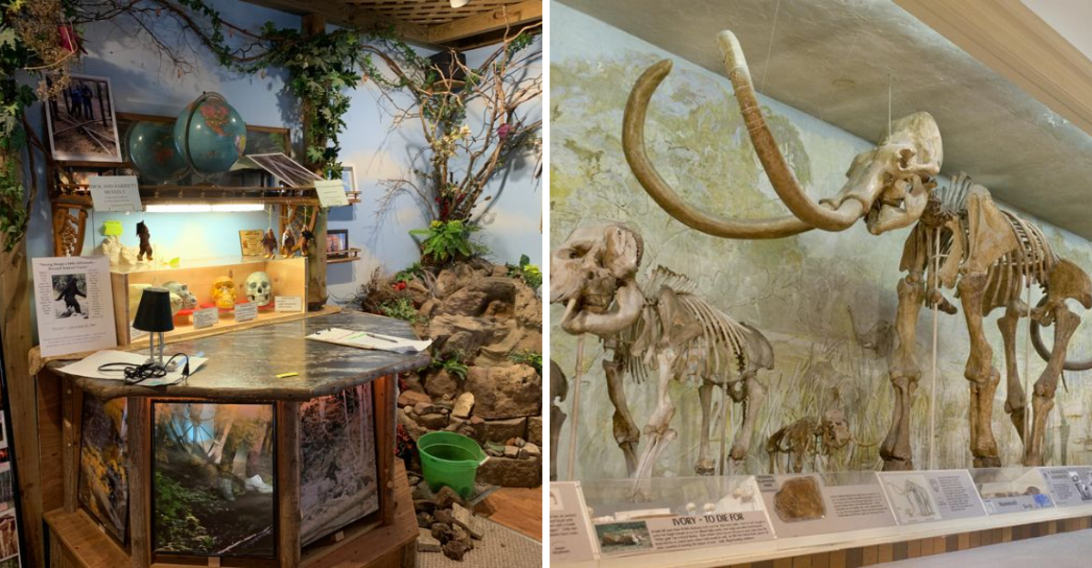 11 Nebraska Museums That Reveal The State's Most Unexpected Tales