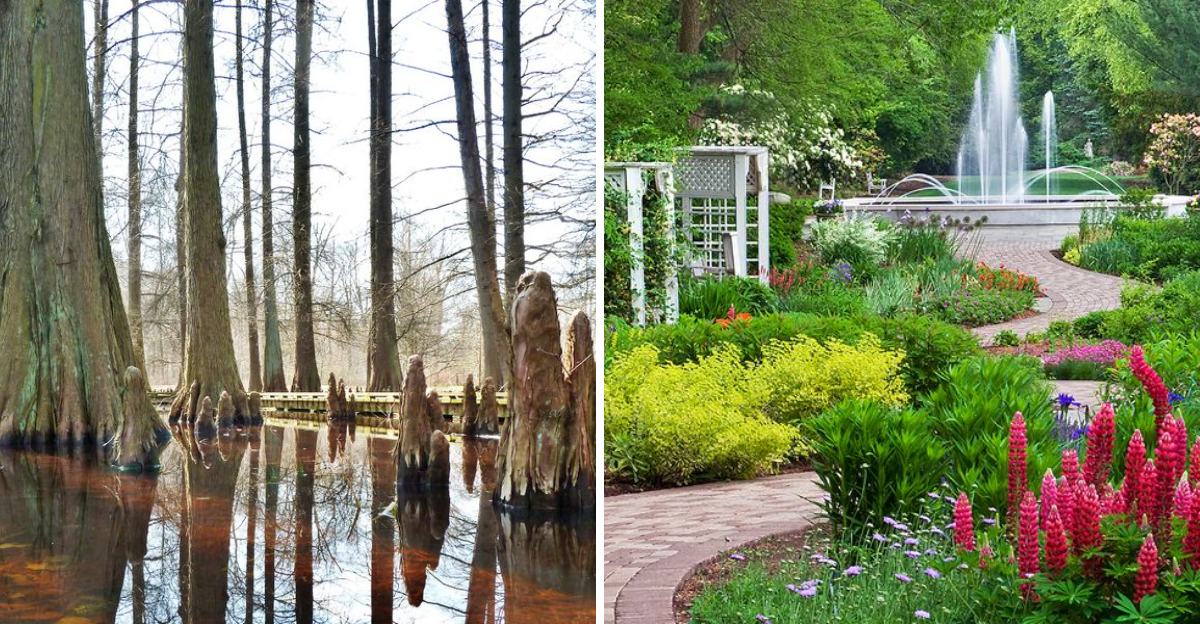 6 Hidden Botanical Gardens In Ohio That Feel Like Secret Worlds