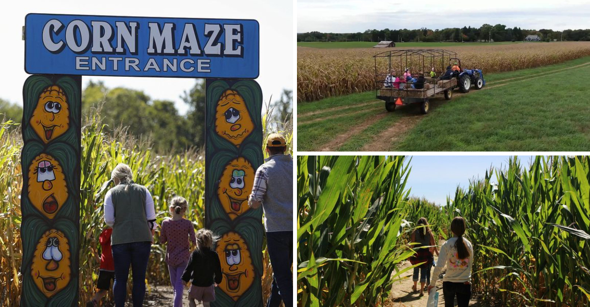 6 Ohio Corn Mazes And Hayrides Locals Keep To Themselves