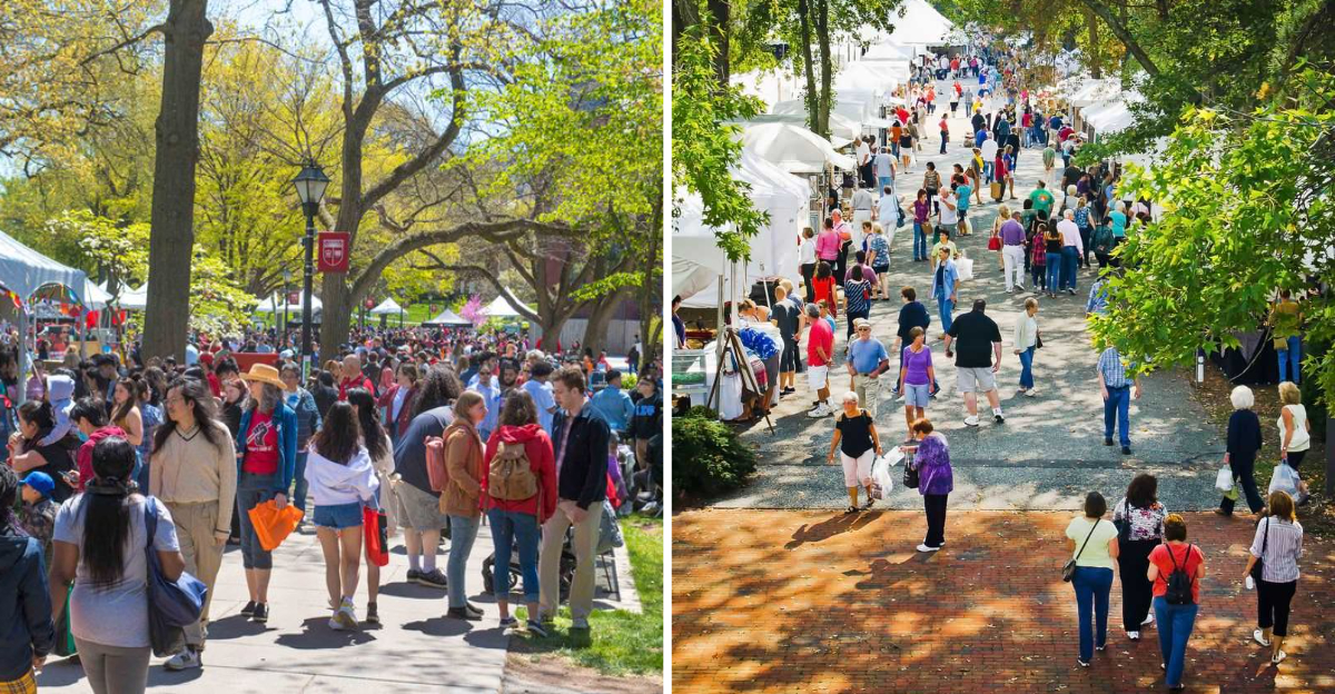 6 Small Art Fairs In New Jersey