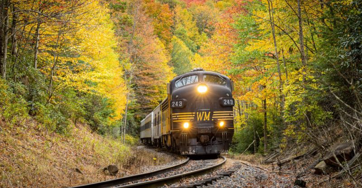 8 Fall Train Rides In West Virginia With Unbeatable Views