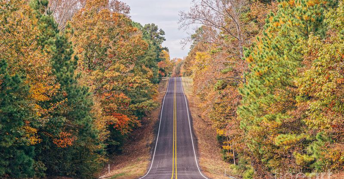 8 Texas Road Trips Perfect for Seeing Fall Colors This Year