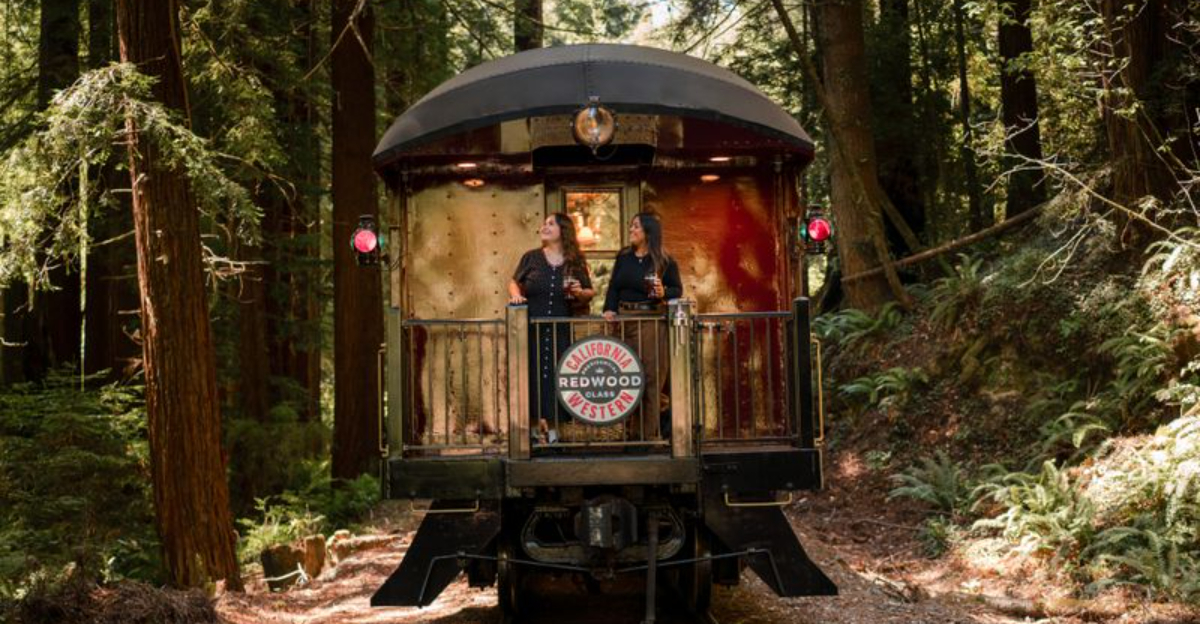 Ride California's Skunk Train From Ocean Views to Towering Redwoods