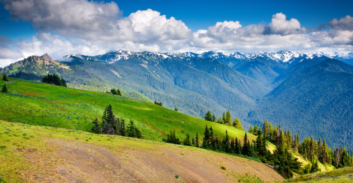 The Most Boring Cities In Washington That Turn Out To Be Surprisingly ...