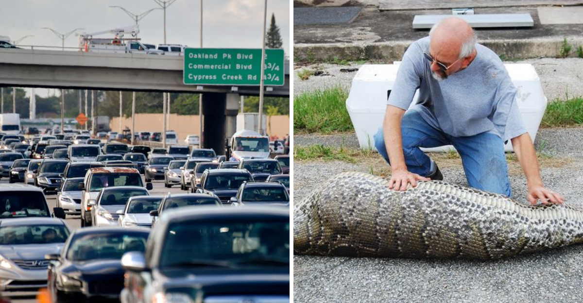 The Real Reasons Florida Locals Say They Feel Like Strangers In Their ...