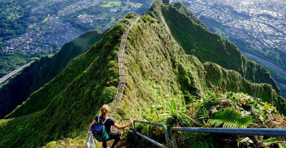 What Tourists In Hawaii Don’t Realize Is Actually Illegal