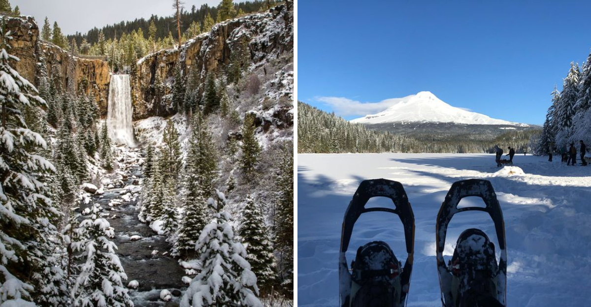 10 Oregon Winter Hikes Worth Braving The Cold - My Family Travels
