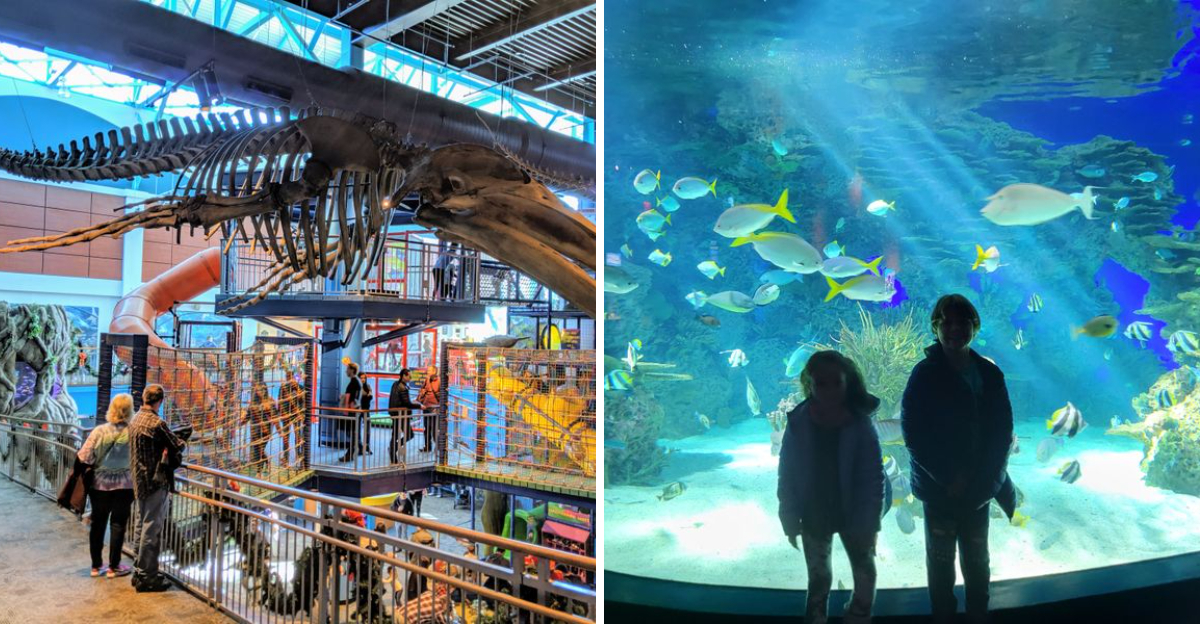 Grandparents, Treat the Kids to Tennessee’s Real Underwater Tunnel ...
