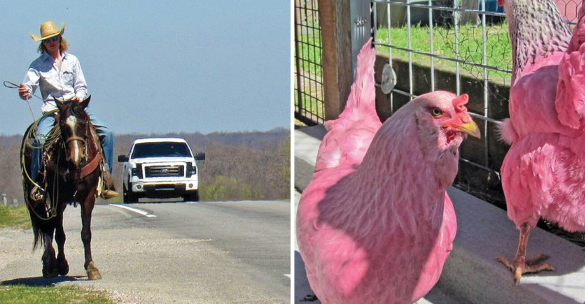 The Strange Laws in Oregon That Prove History Never Died