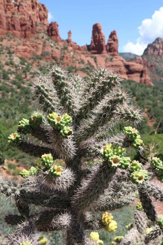 The Arizona Red Rock Spot Where the Stars Seem Within Reach