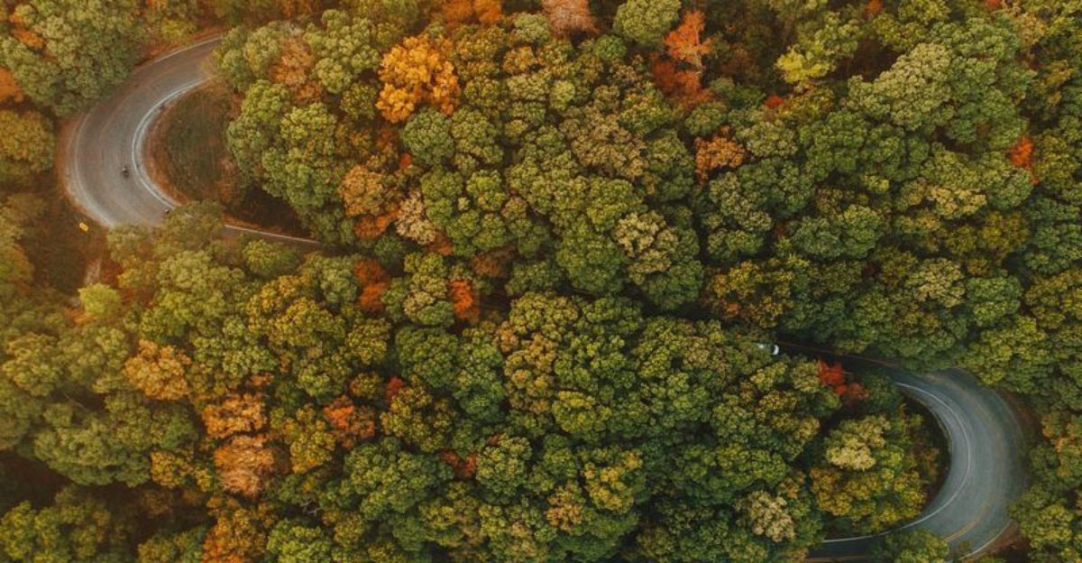 The Arkansas Backroad Drive Locals Swear Is the Prettiest in the State