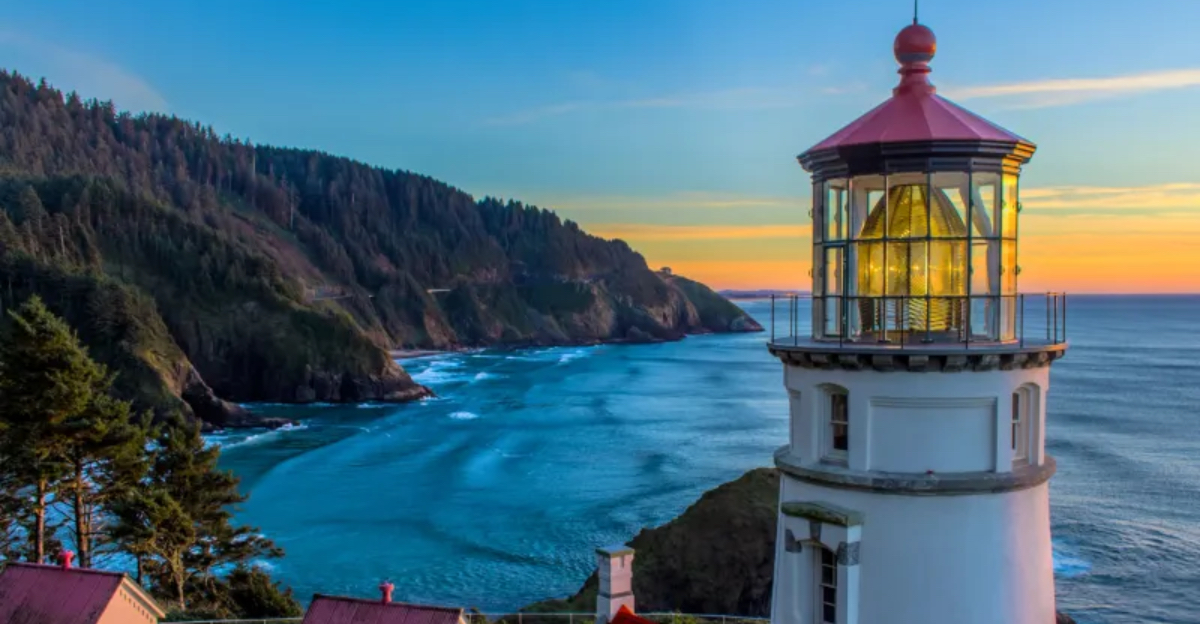 The Oregon Forest Trail Where Locals Refuse to Walk After Dark