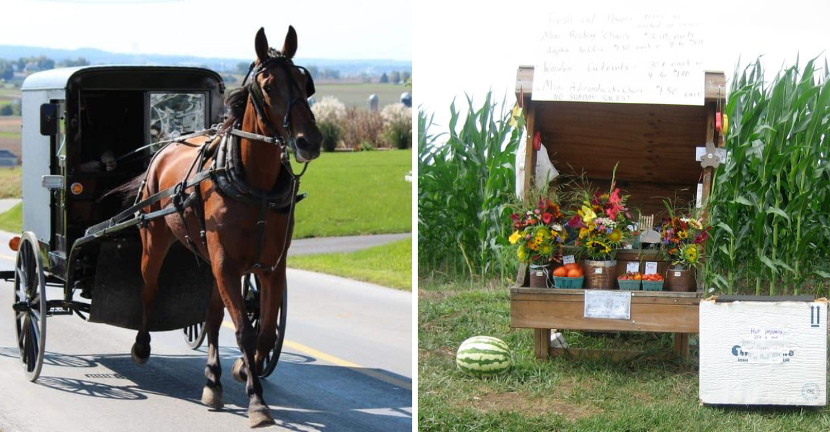 Traveling Pennsylvania Amish Country: Rules, Rituals, and Roadside Wonders