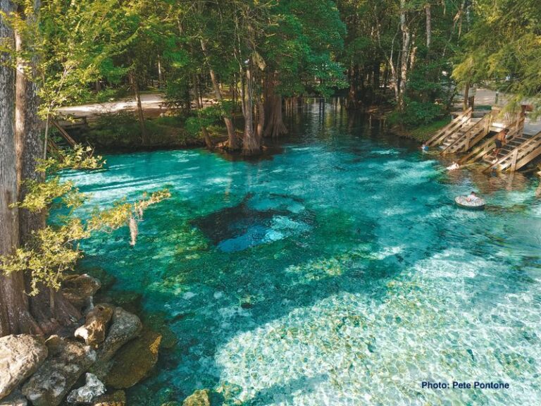 10 Florida Springs That May Be Worth Adding To A Bucket List This Season