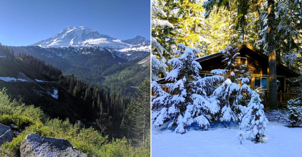 11 Forest Towns In Washington To Recharge And Relax