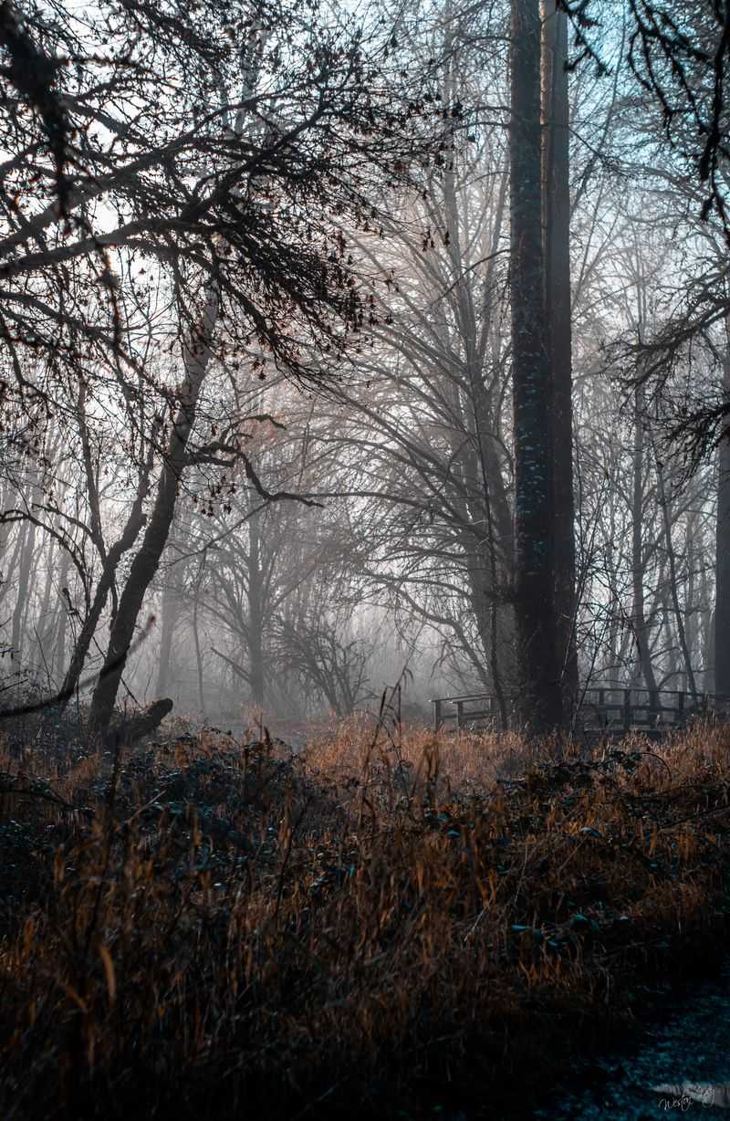 Why This Oregon Logging Town Leaves Travelers More Nostalgic Than Expected