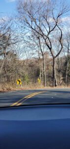 Discover the Amish Areas of Michigan Where Life Feels Simpler