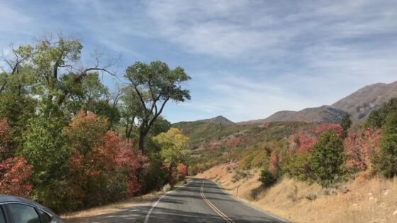 10 Scenic Utah Road Trips That Should Be On Your Map This Year