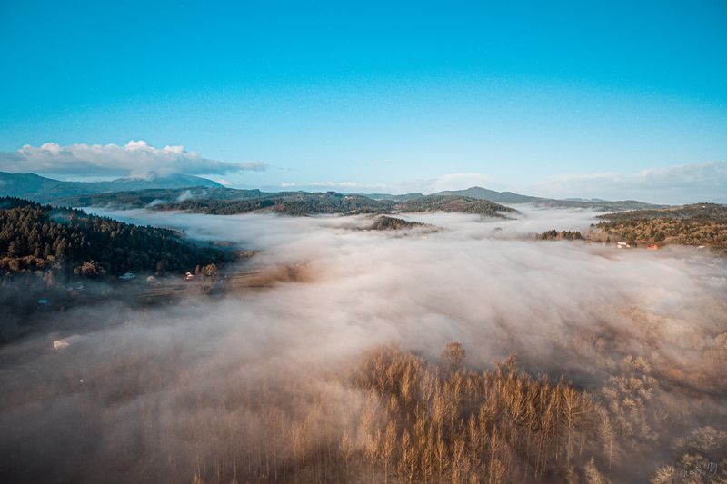 Why This Oregon Logging Town Leaves Travelers More Nostalgic Than Expected
