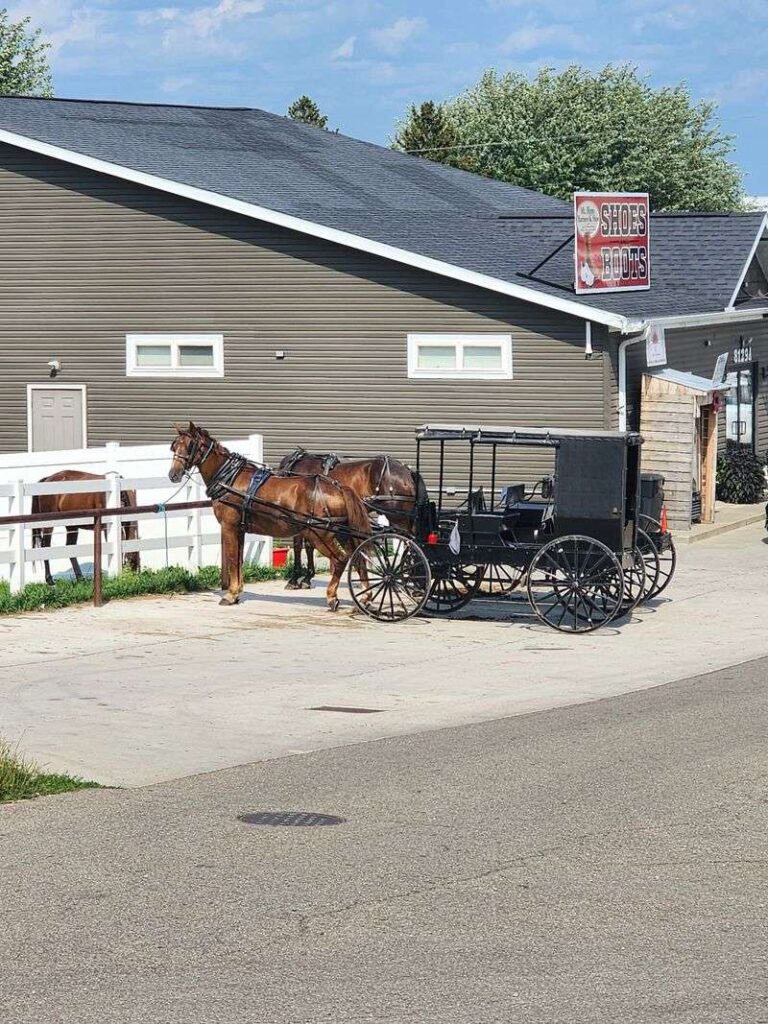 This Indiana Amish Country Feels Serene Until Travelers Spot What's Off ...