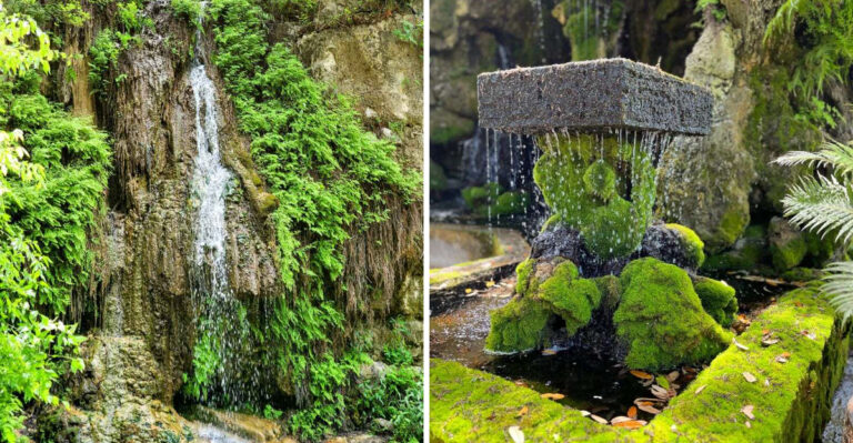 Why This Texas Hill Country Oasis Has 32 Natural Water Sources