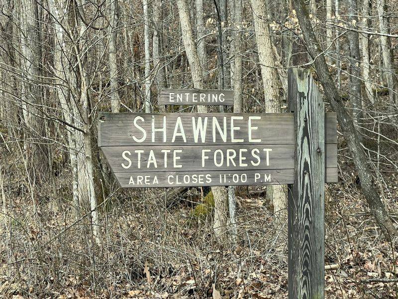 10 Underrated State Forests In Ohio With Clear Trails - My Family Travels