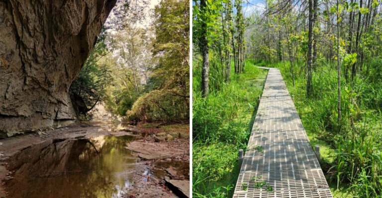 10 Hidden Indiana Forests Hoosiers Loved Until Tourists Found Them