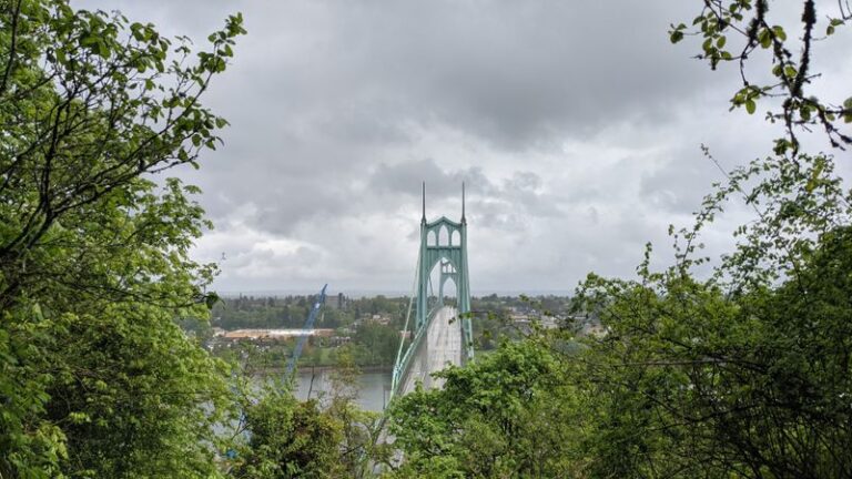 10 Oregon Nature Trails That Make Locals Forget the City