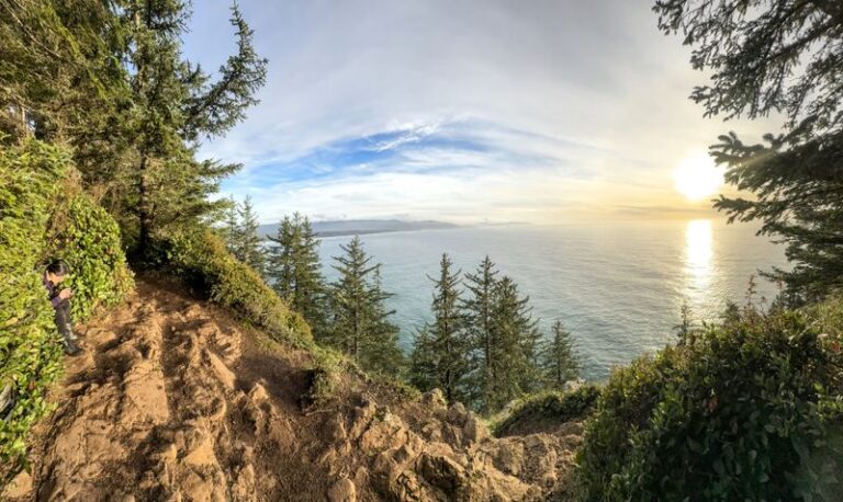 7 Oregon Hiking Areas Popular With Travelers Seeking Coastal and Forest ...