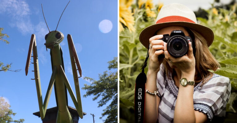 A 17-Foot Super Bug Sculpture Stands Proudly in This Indiana Downtown