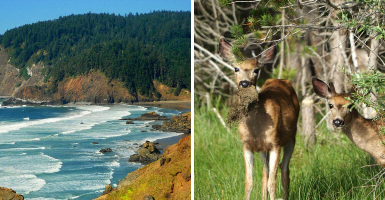 How Oregonians Balance Enjoying and Protecting Their Lands
