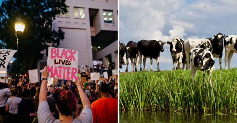 How Oregon’s Older Laws Offer a Window Into the State’s History