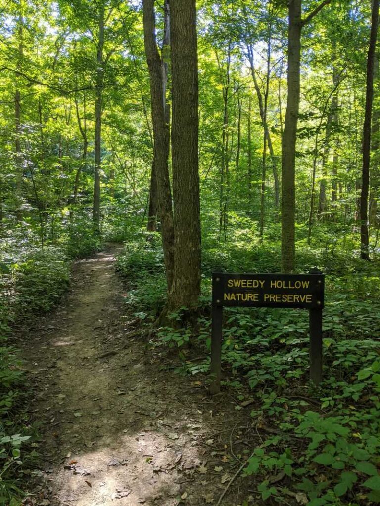 Indiana’s Forest Hideaway That’s Perfect for a Quick Escape