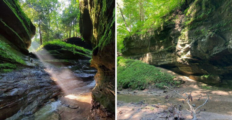 Indiana’s Turkey Run Trails Will Make You Question Your Hiking Shoes