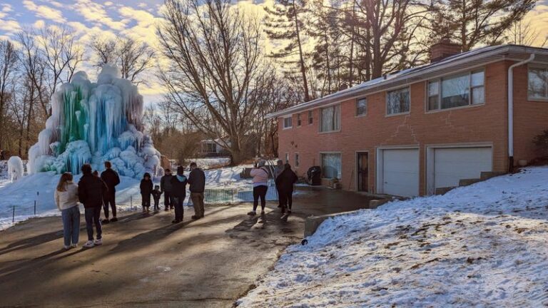 The Ice Tree in Indianapolis, Indiana Only Appears in the Coldest Winters