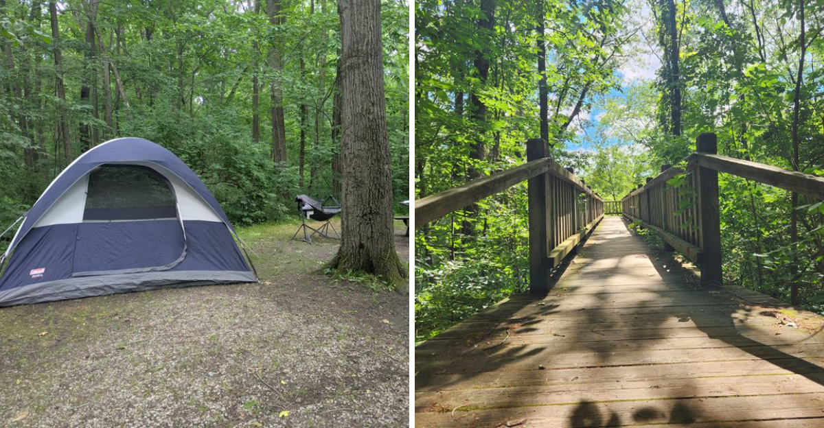 The Indiana State Park Where You Can Toboggan at 42 MPH, Snow or Shine