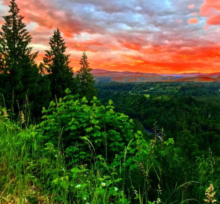 The Oregon Viewpoint Almost Nobody Stops At - Yet Everyone Should