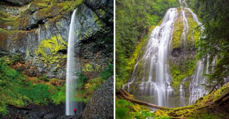 These 10 Hidden Waterfalls in Oregon Only Locals Know