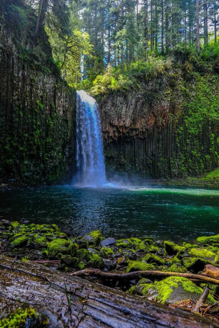 These 9 Oregon Trails That Reveal Secret Views Only Locals Know