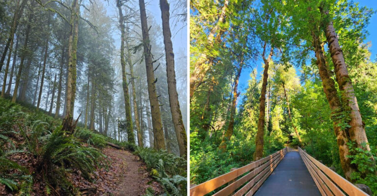 These Are 11 Reasons Oregonians Stand Up for Nature