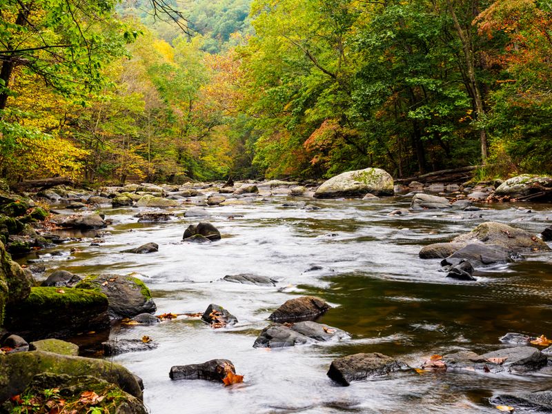 These Relaxing New Jersey Trails Take You To Secluded Hideaways