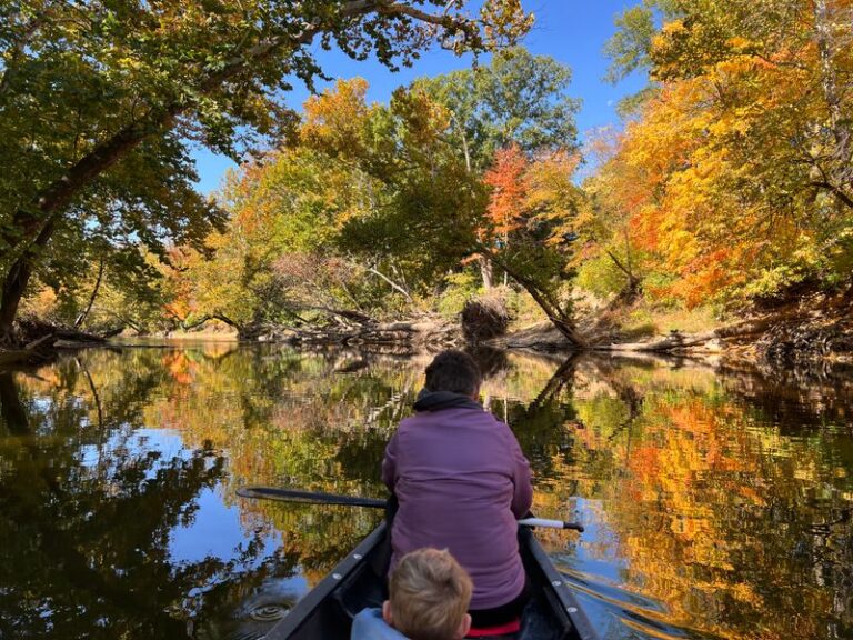 This Indiana River Is Luring Locals for Scenic Paddle Adventures All ...
