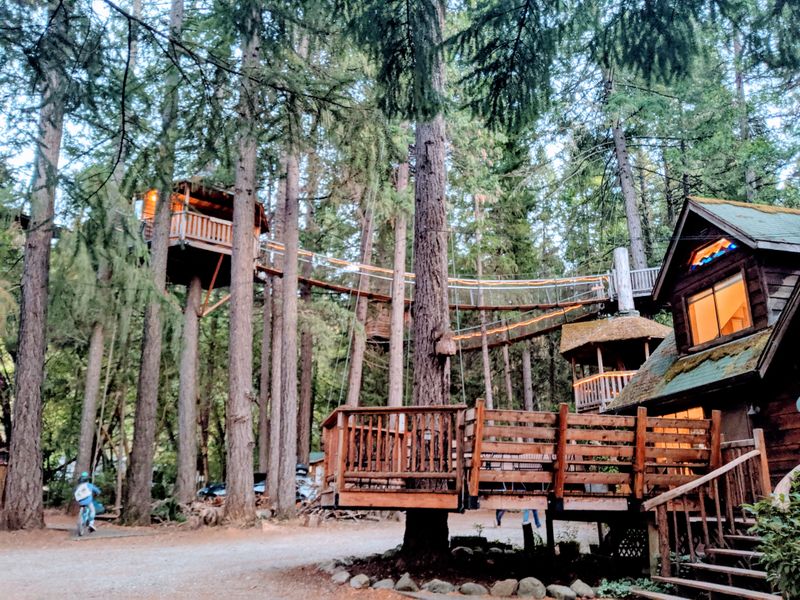 This Magical Oregon Treetop Retreat Lets You Sleep Among the Trees